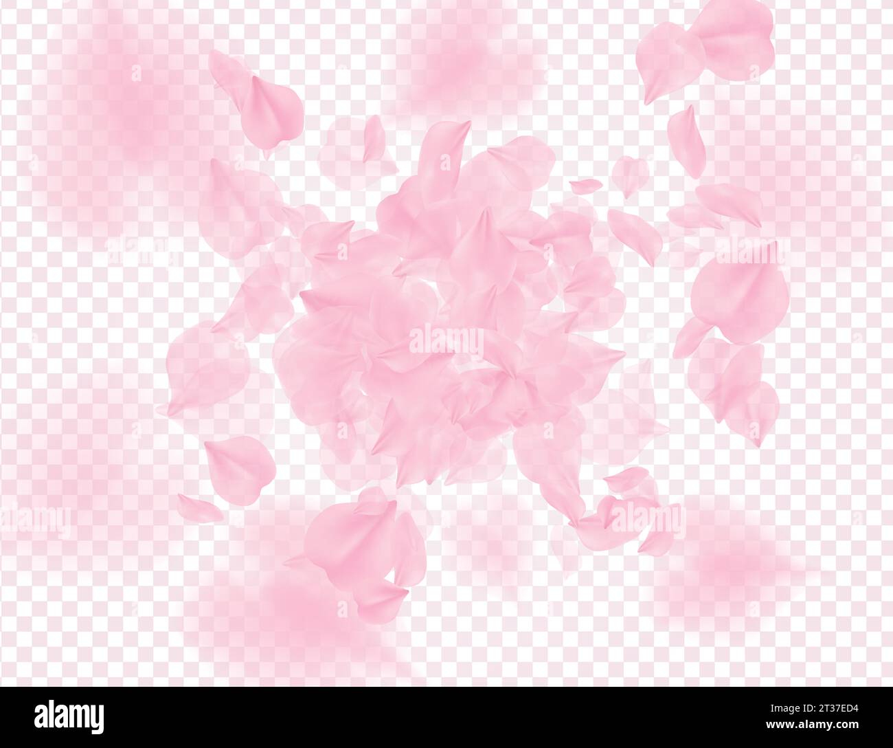 Flight anniversary Stock Vector Images - Alamy