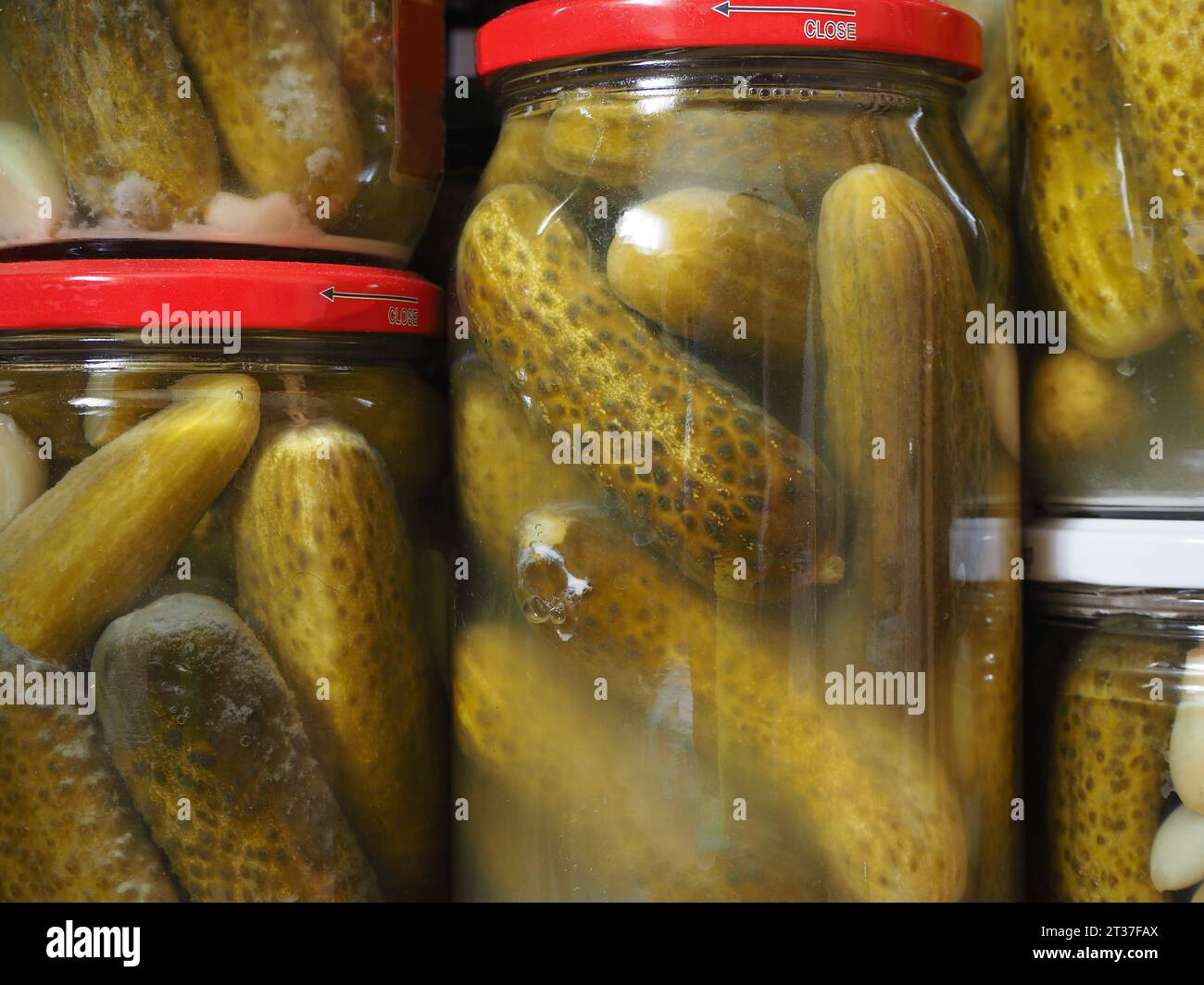 Kitchen pantry meat safe hi-res stock photography and images - Alamy