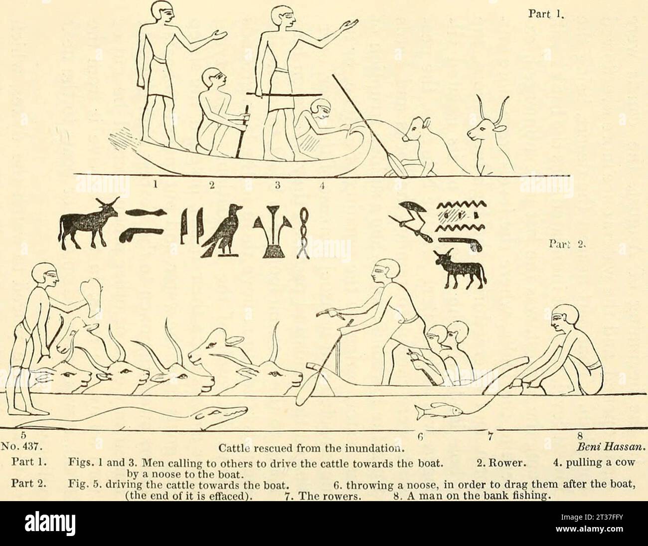 A second series of the Manners and customs of the ancient Egyptians ...
