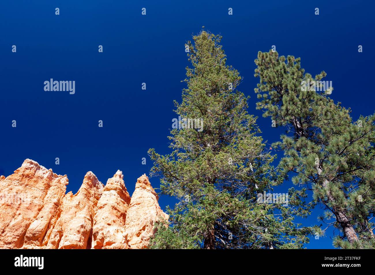 Sandstone spires hi-res stock photography and images - Alamy