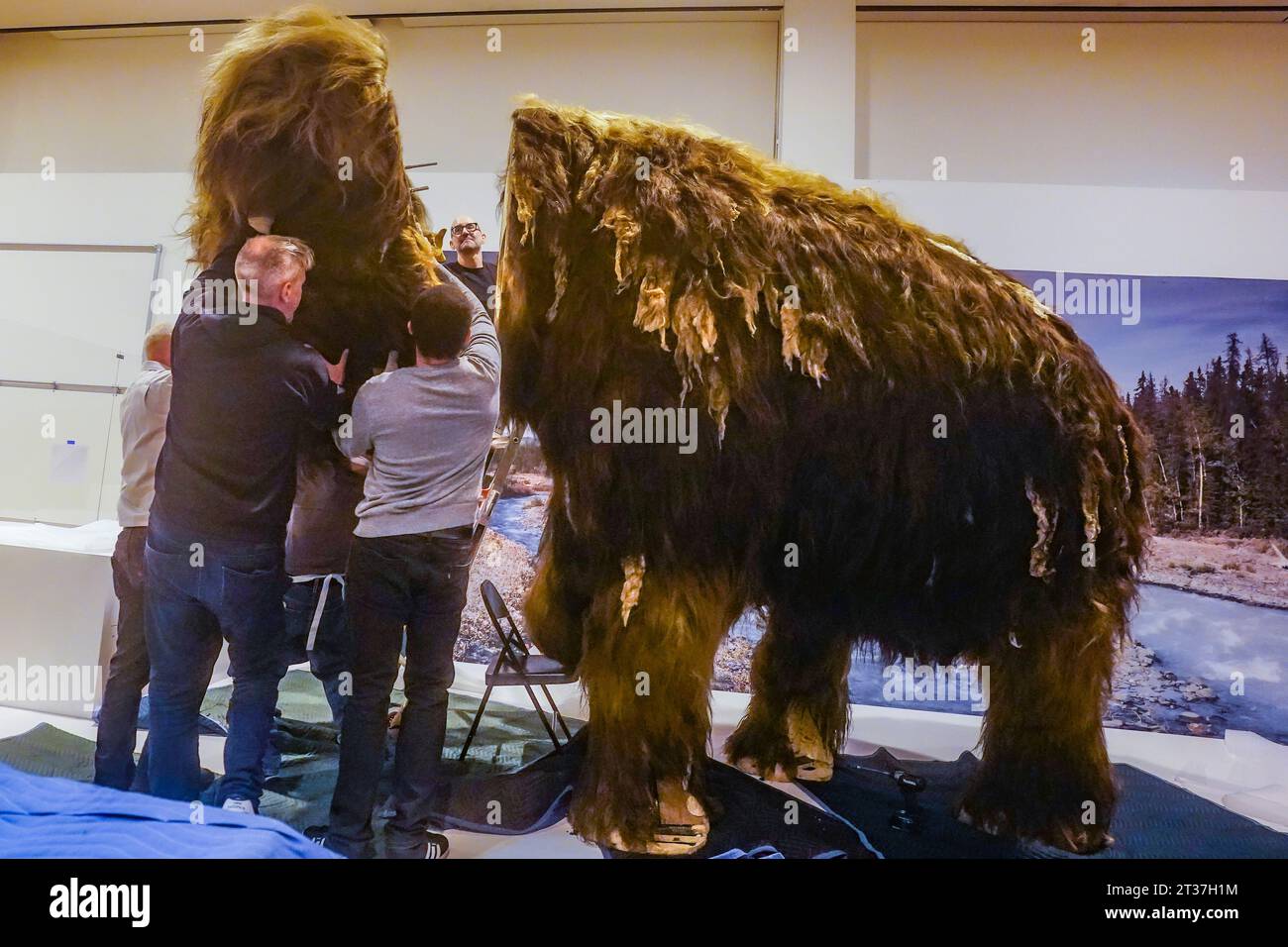 A team of exhibition specialists at the American Museum of Natural ...