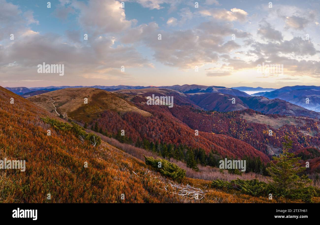 Autumn morning mountain landscape with colorful slopes and mist Stock ...