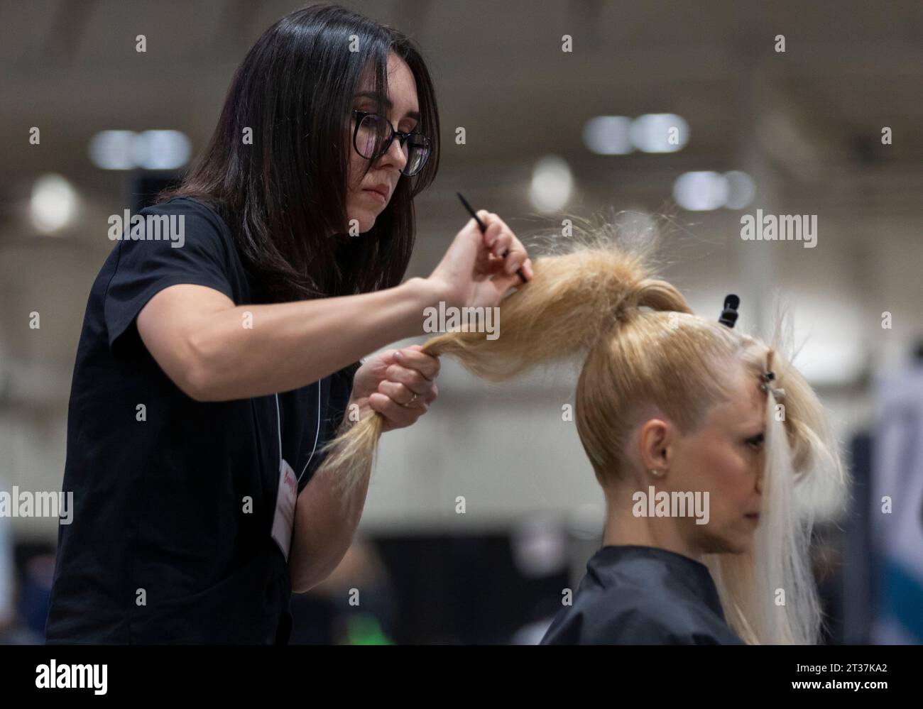 Toronto, Canada. 23rd Oct, 2023. A competitor works on a model during ...