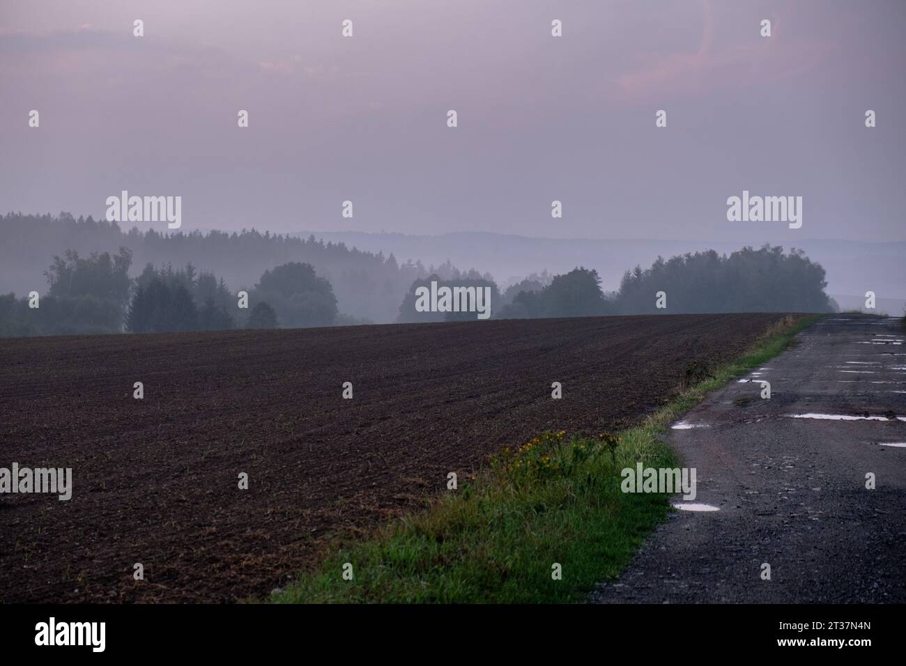 Pink clouds over autumn hi-res stock photography and images - Alamy