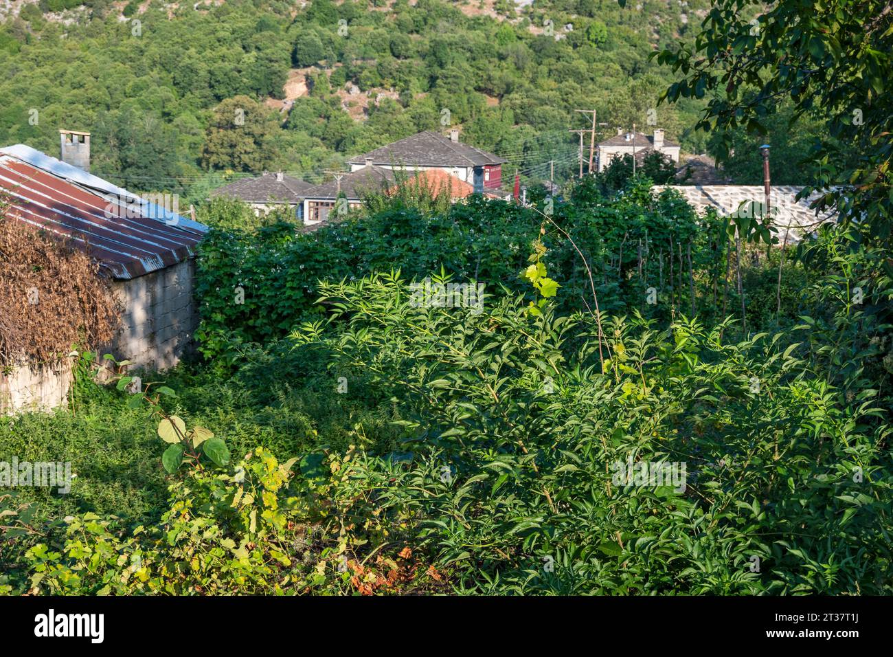 Panorama of Village of Tsepelovo, Epirus, Greece Stock Photo - Alamy