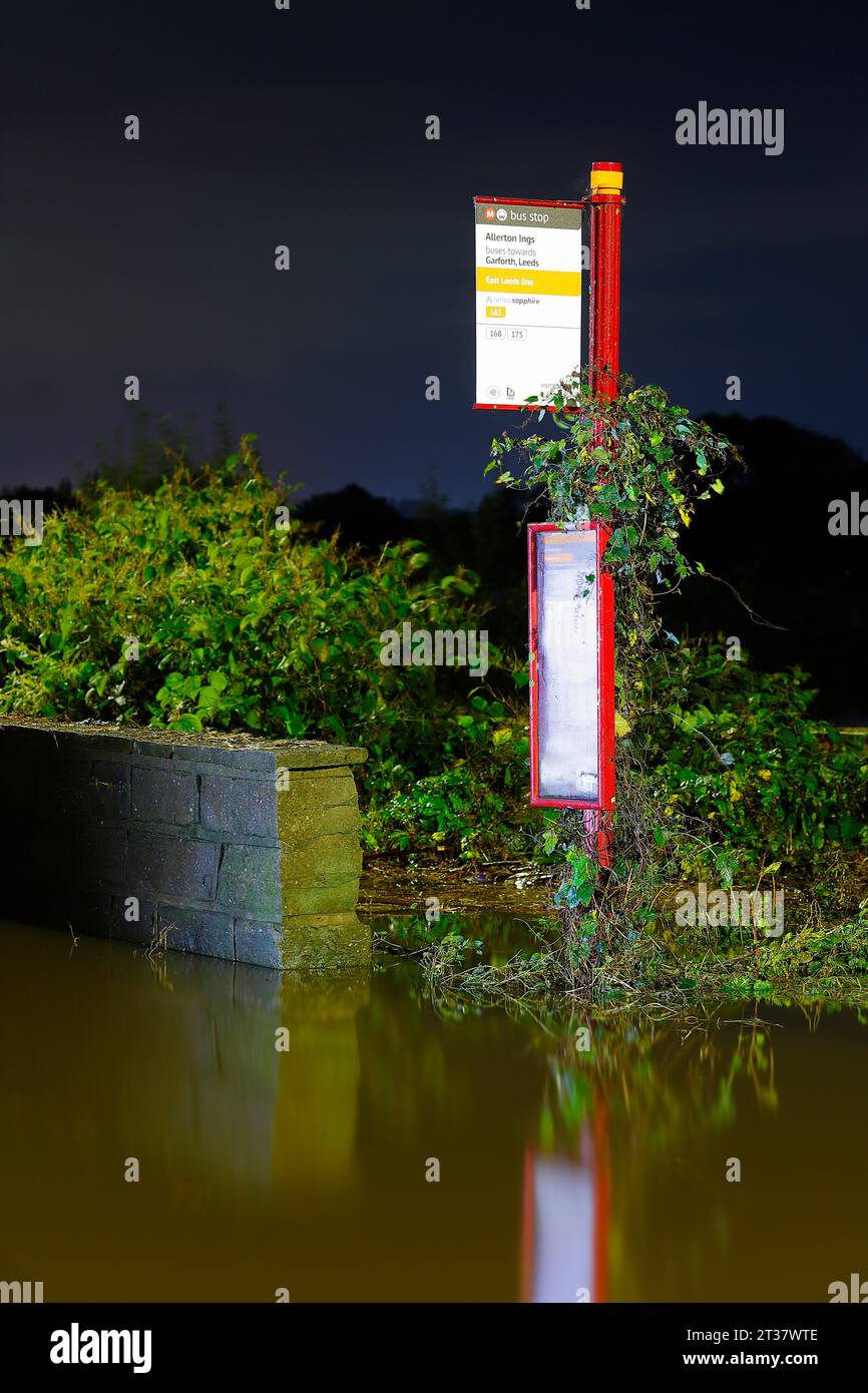 Overgrown vegetation on a bus stop on Barsdale Road in Castleford,West ...