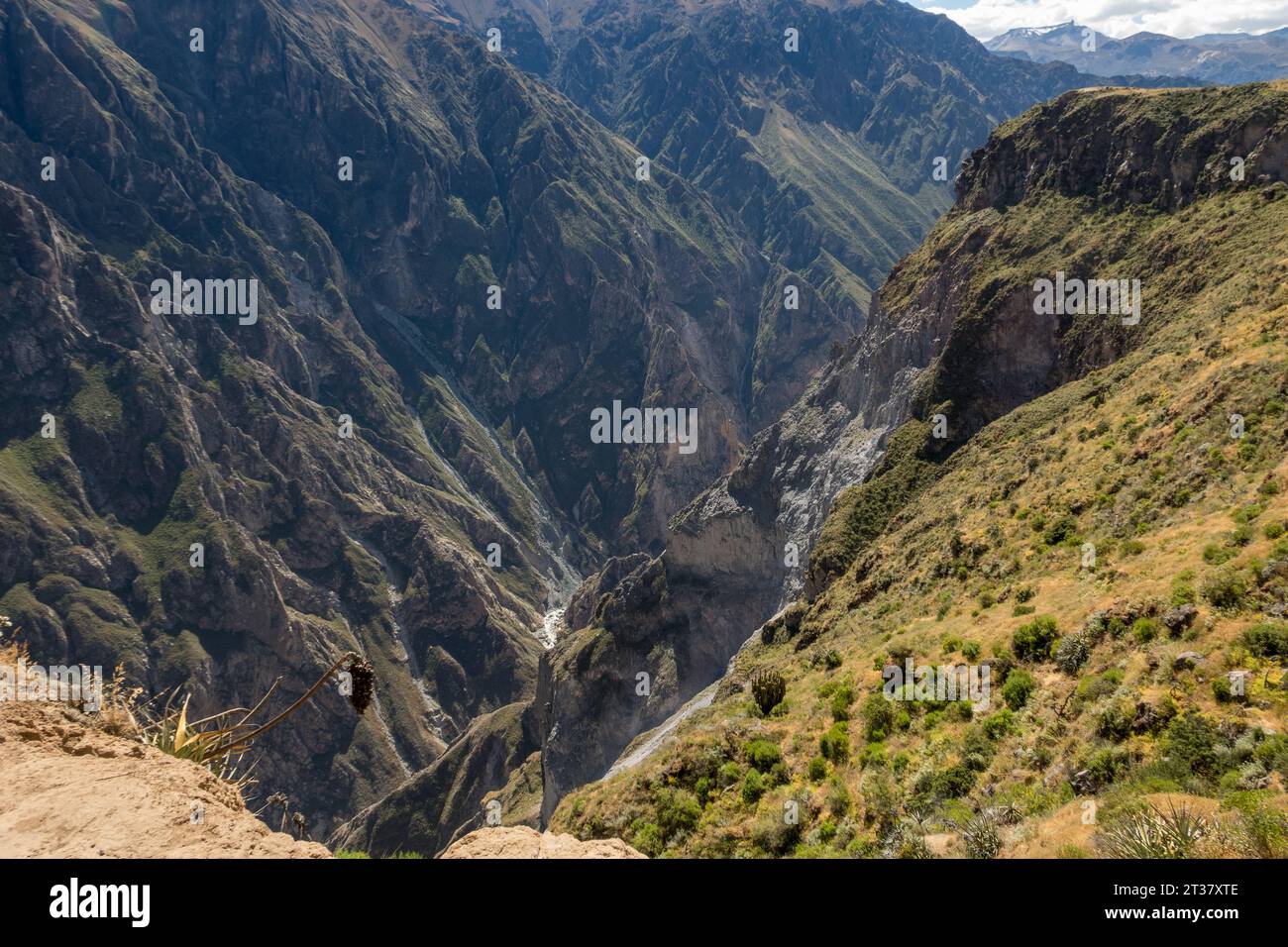 Canyon de Colca. The Rio Colca has forged an immense canyon, twice the ...