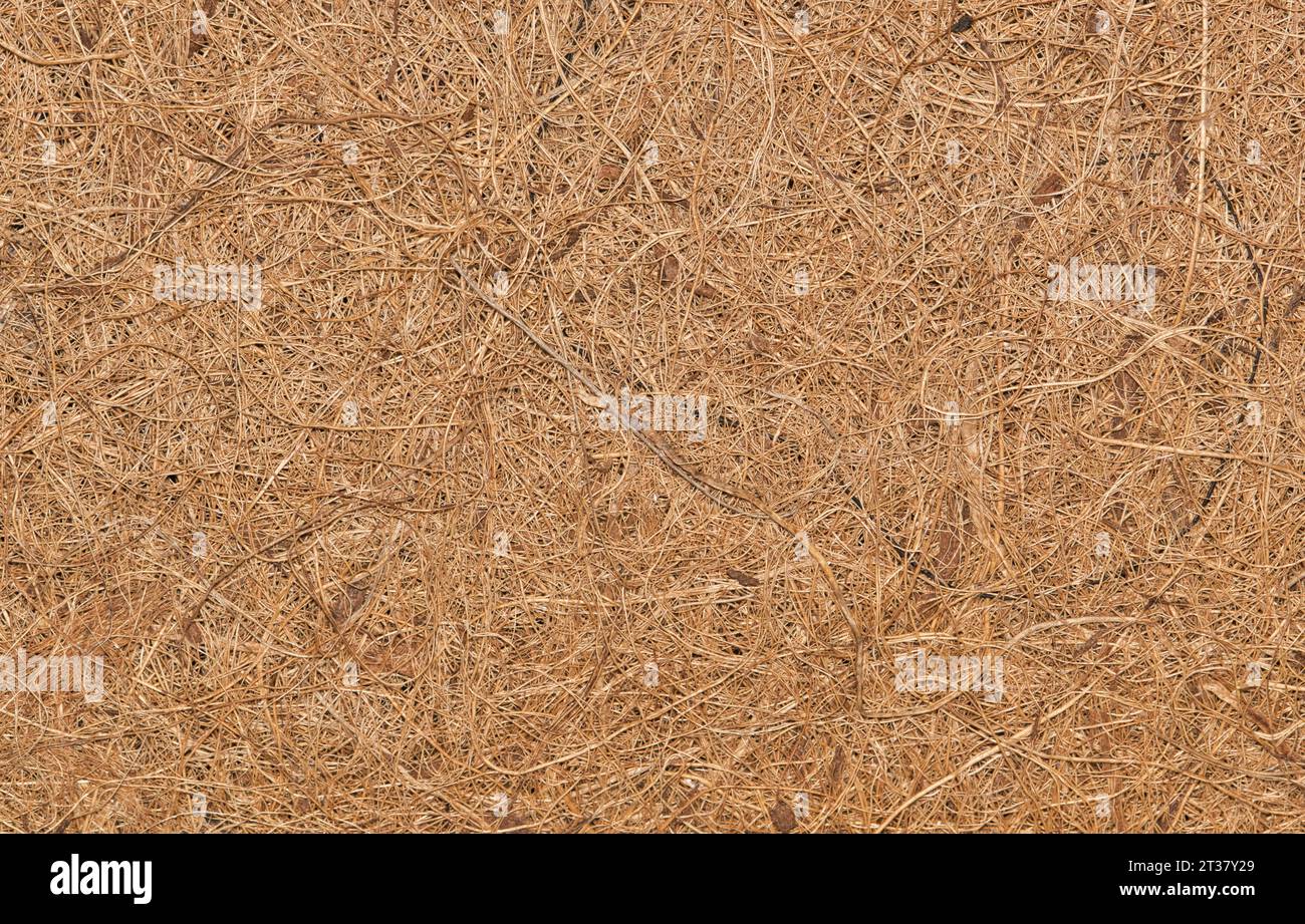 Coconut fiber solid background image. Material is used for many ...