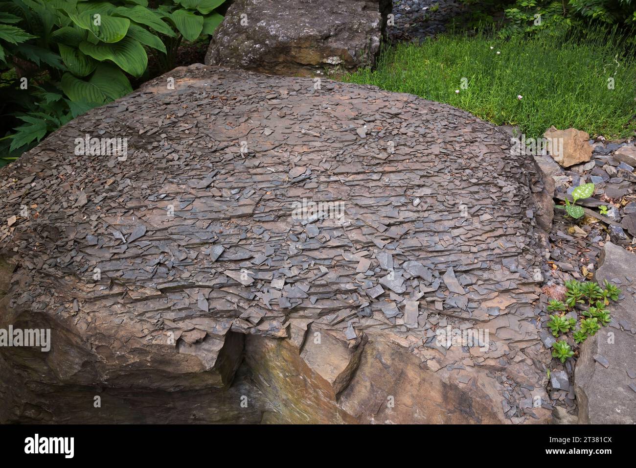 Fragmented slate rock surface in spring Stock Photo - Alamy