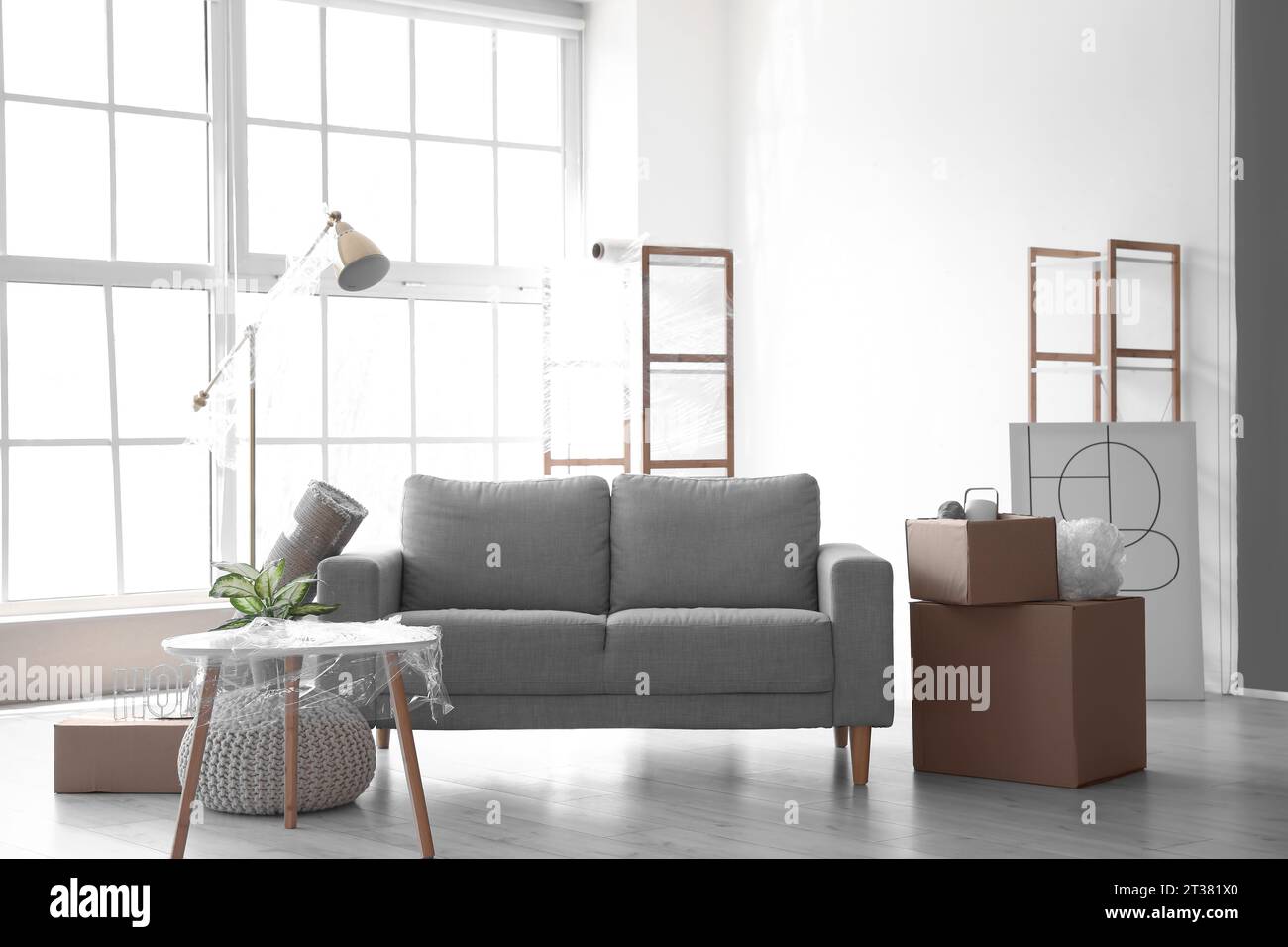 Cardboard boxes with stretch wrap and furniture in living room on ...