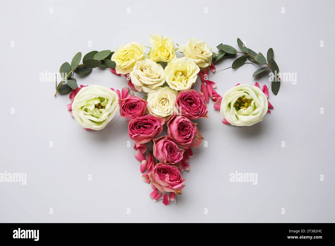 Uterus made of beautiful flowers on light background Stock Photo - Alamy
