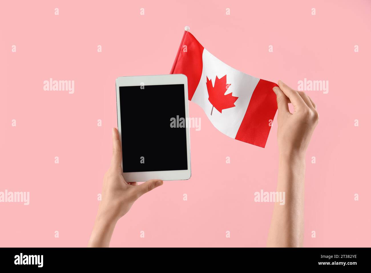 Woman with blank tablet computer and Canadian flag on pink background ...