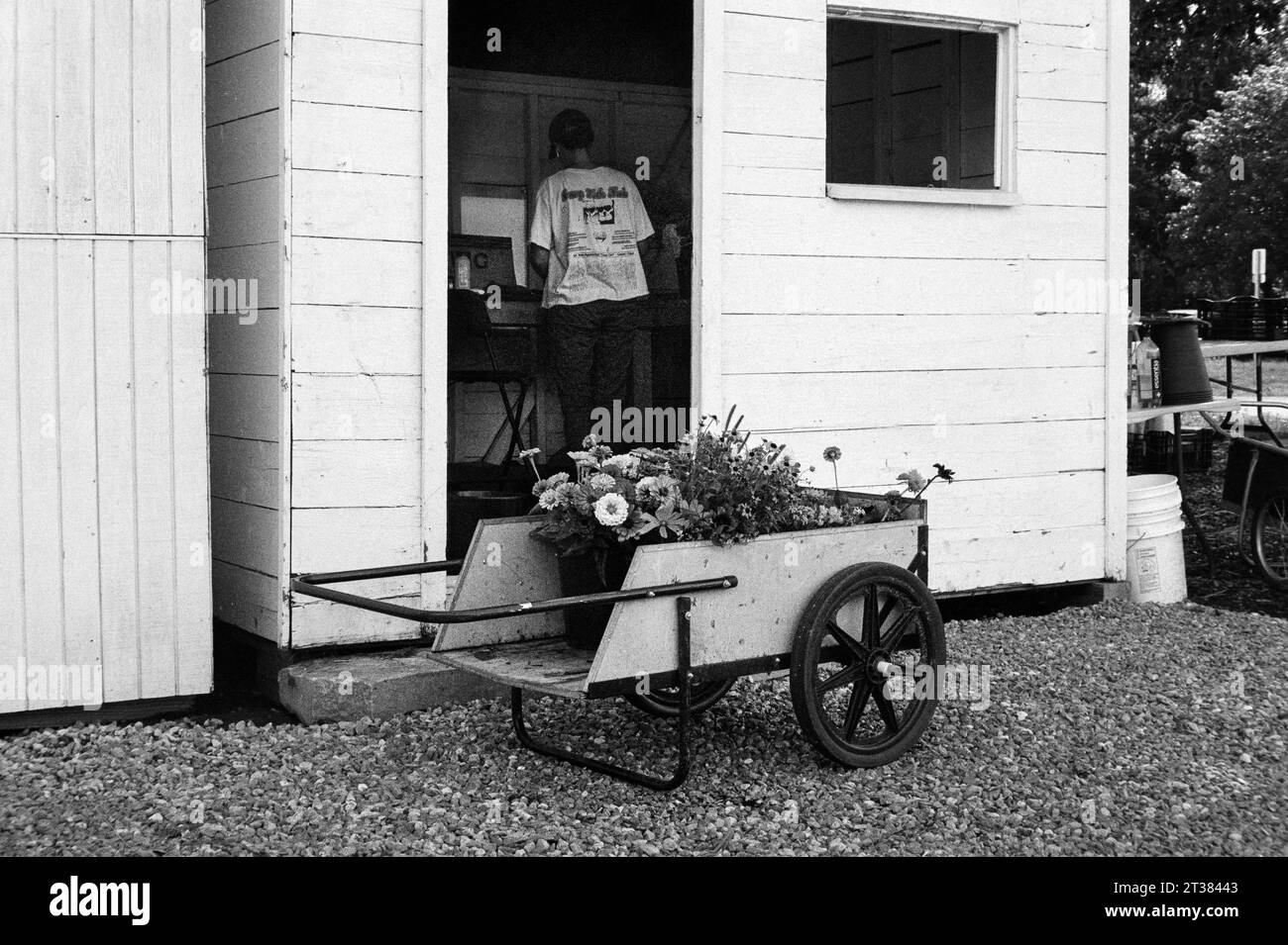 Residential shed Black and White Stock Photos & Images - Alamy