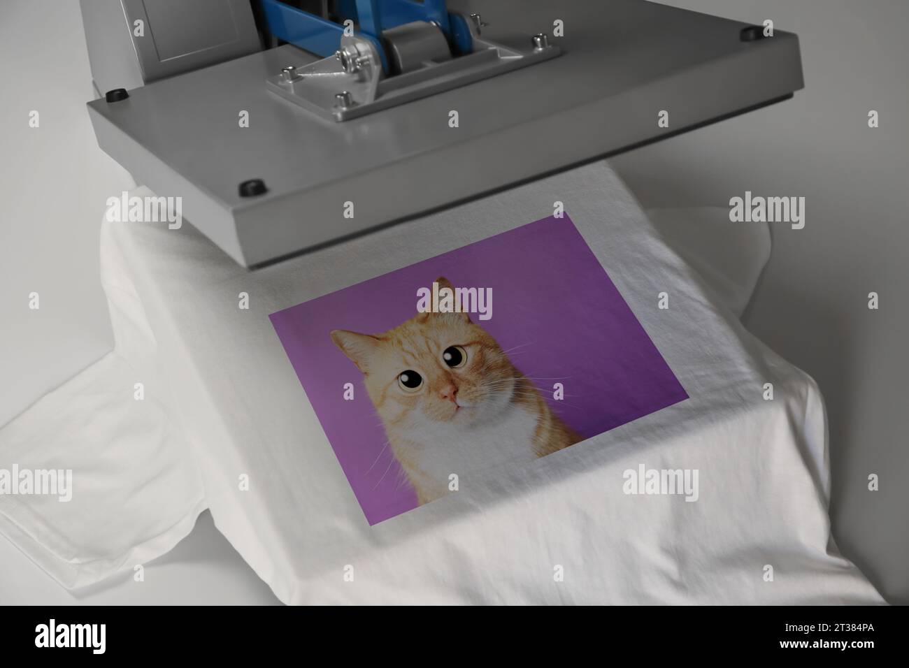 Custom t-shirt. Using heat press to print photo of cute ginger cat ...