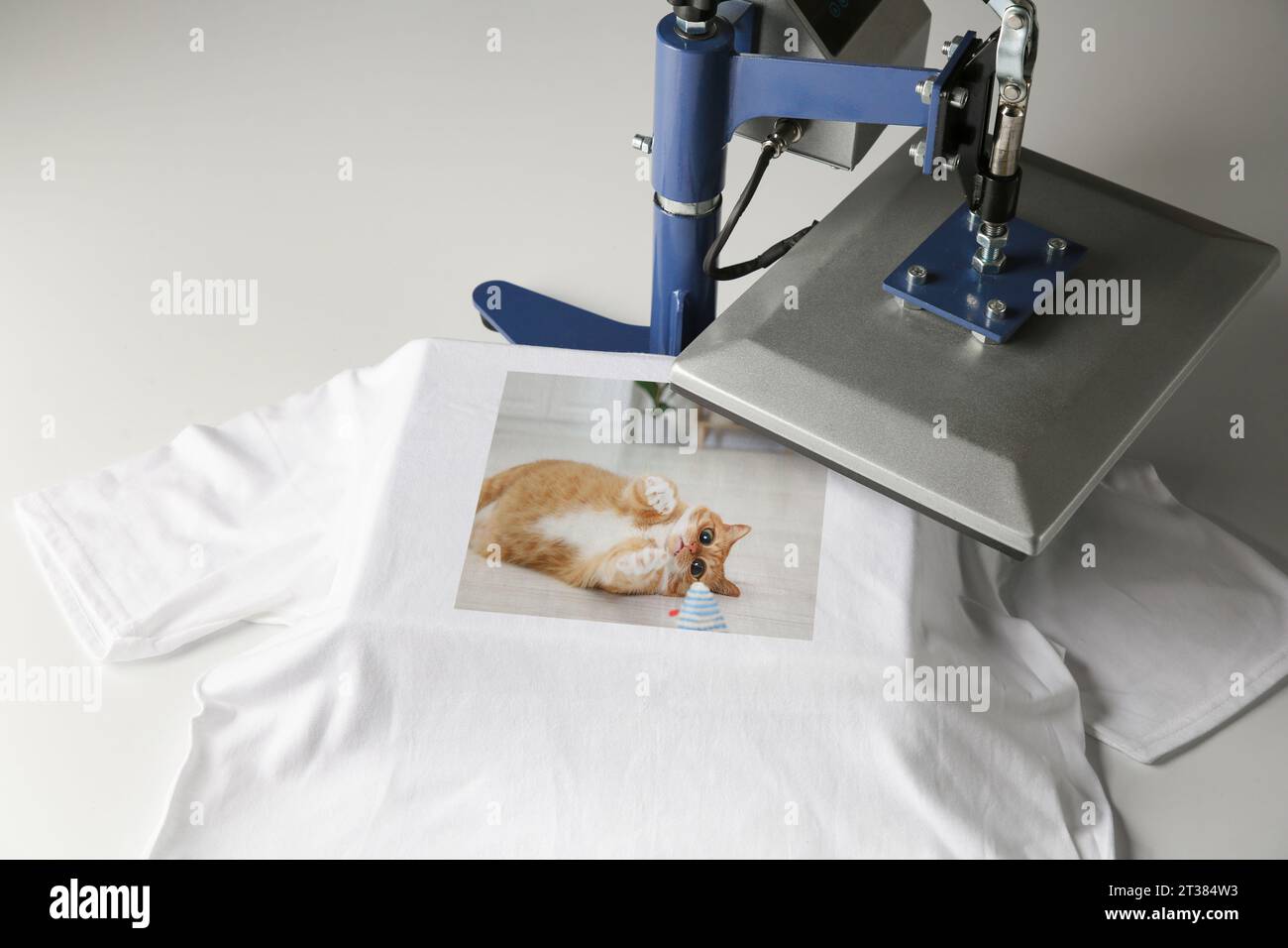 Custom t-shirt. Using heat press to print photo of cute ginger cat ...