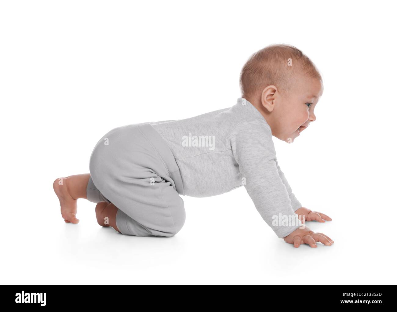Cute little baby crawling on white background Stock Photo - Alamy