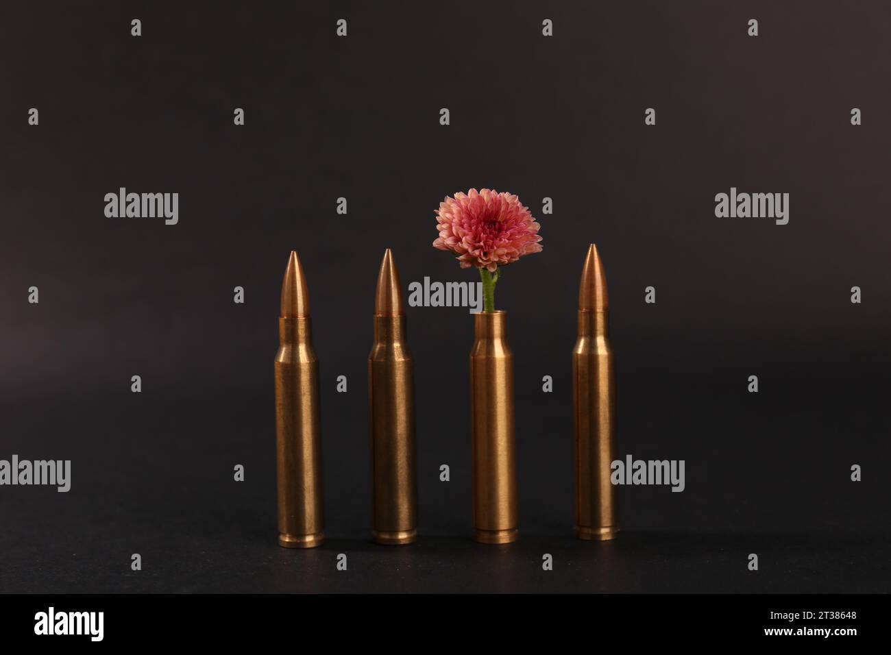 Bullets and cartridge case with beautiful flower on black background ...