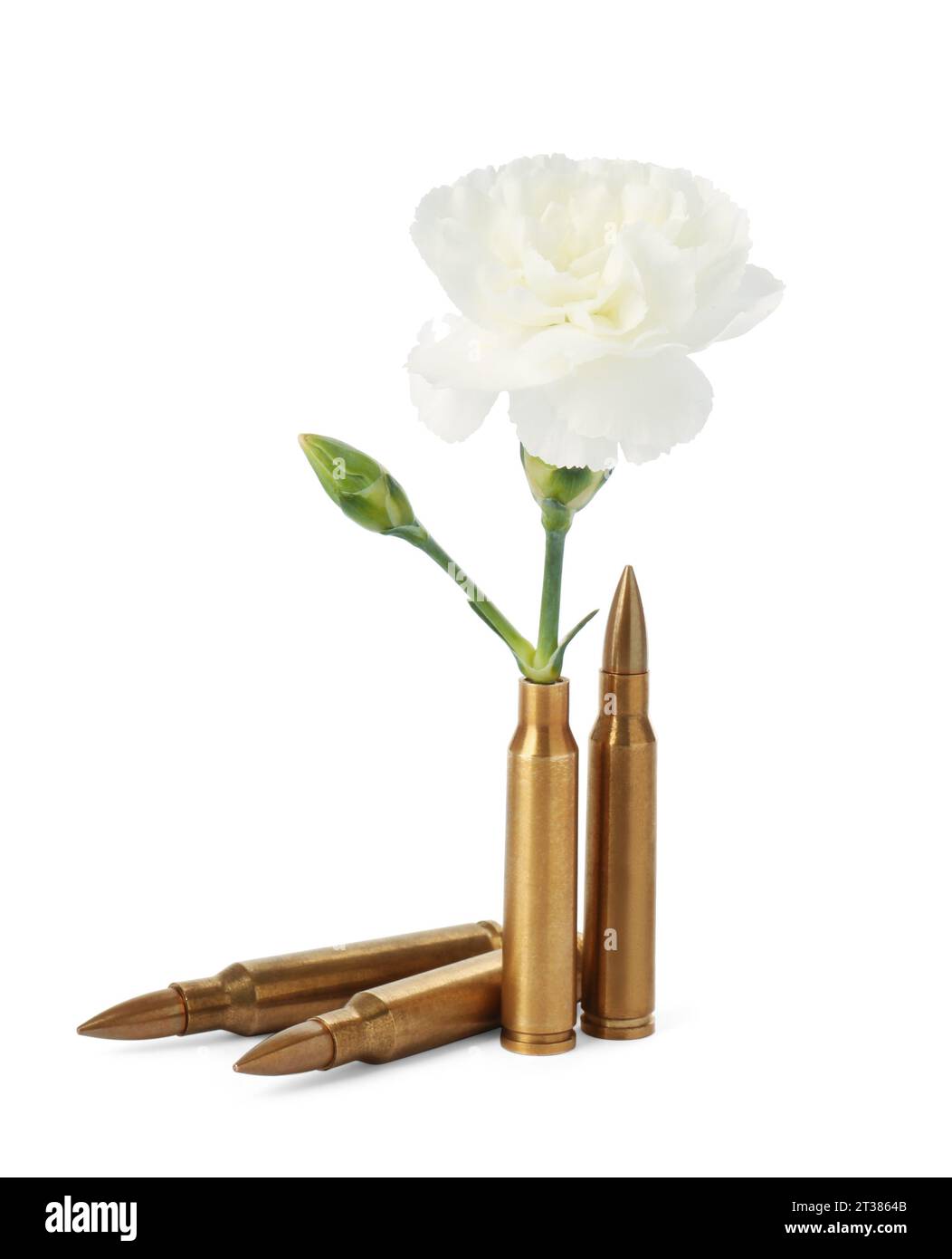 Bullets cartridge case beautiful hi-res stock photography and images ...