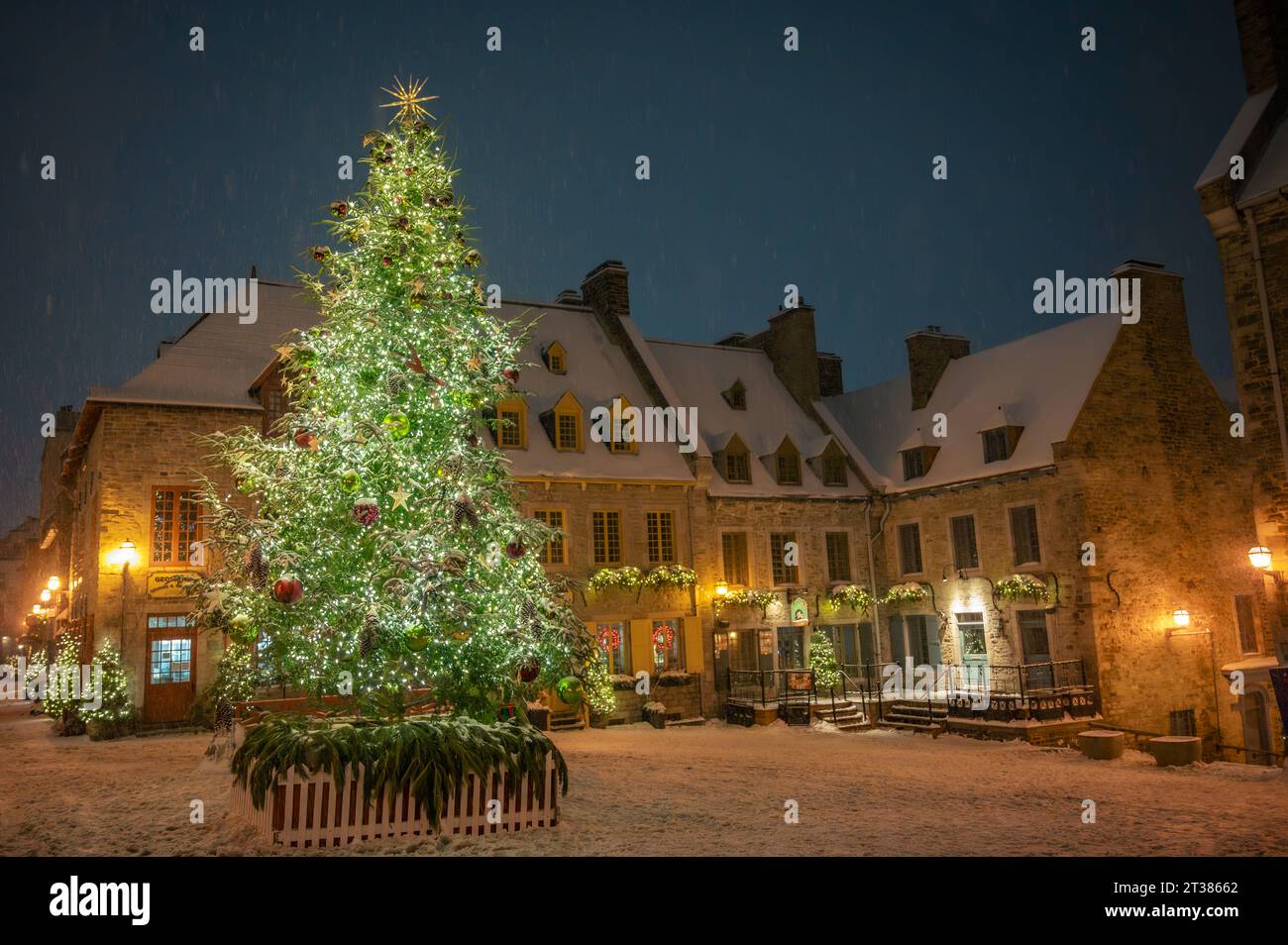Christmas tree decorations, snowy night, Place Royale, old Quebec City ...