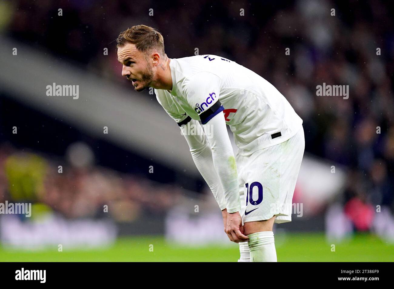 Tottenham Hotspur's James Maddison during the Premier League match at ...