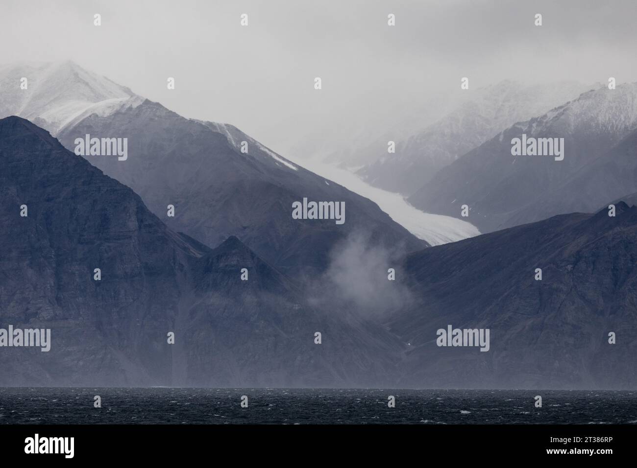 Walrus Skull on snow Stock Photo - Alamy