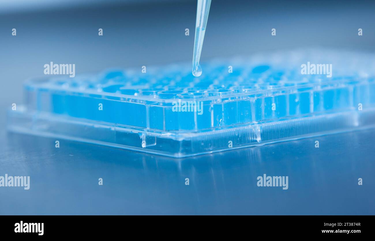 A close-up image of a small plastic tube containing several small ...