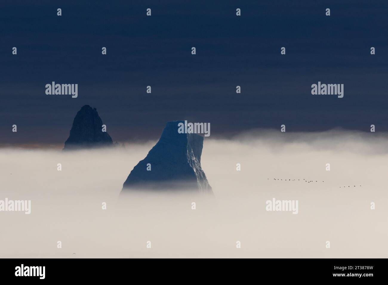 Icebergs and Sea Fog Stock Photo - Alamy