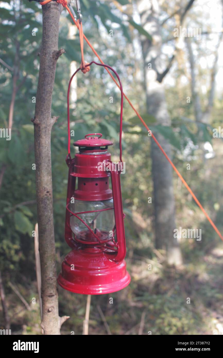An outdoor red kerosene lantern hanging from a tree branch with a rope ...