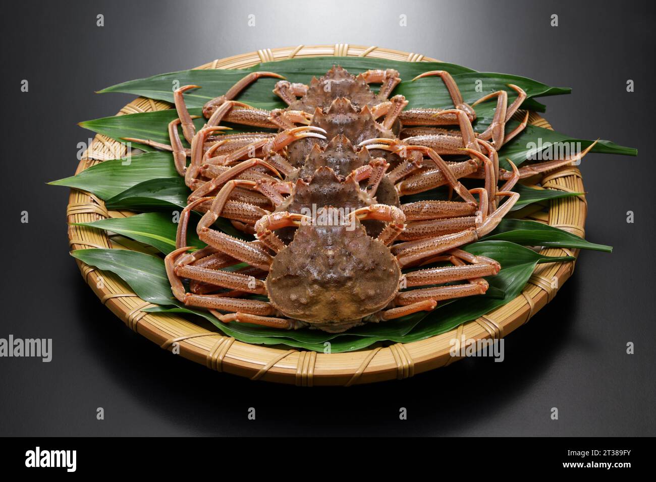 live Japanese snow crab (female) on bamboo tray Stock Photo - Alamy