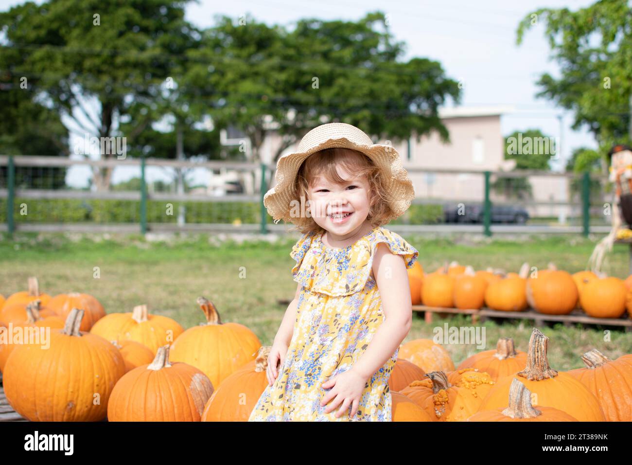 Smiling preschool kid at the farm. Pumpkin patch american tradition. Halloween fun Stock Photo ...