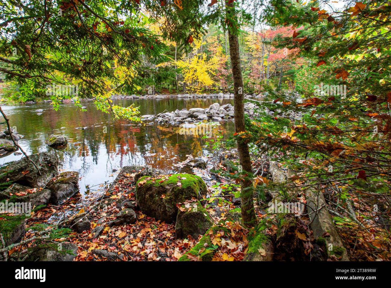Lake of the Falls in Mercer, Wisconsin in September, horizontal Stock ...
