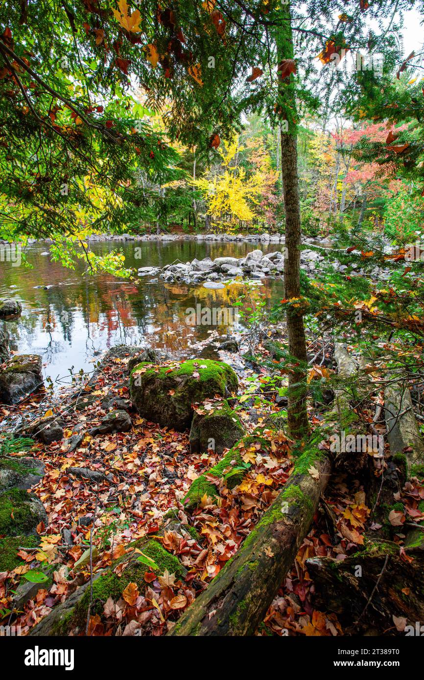 Lake of the Falls in Mercer, Wisconsin in September, vertical Stock ...