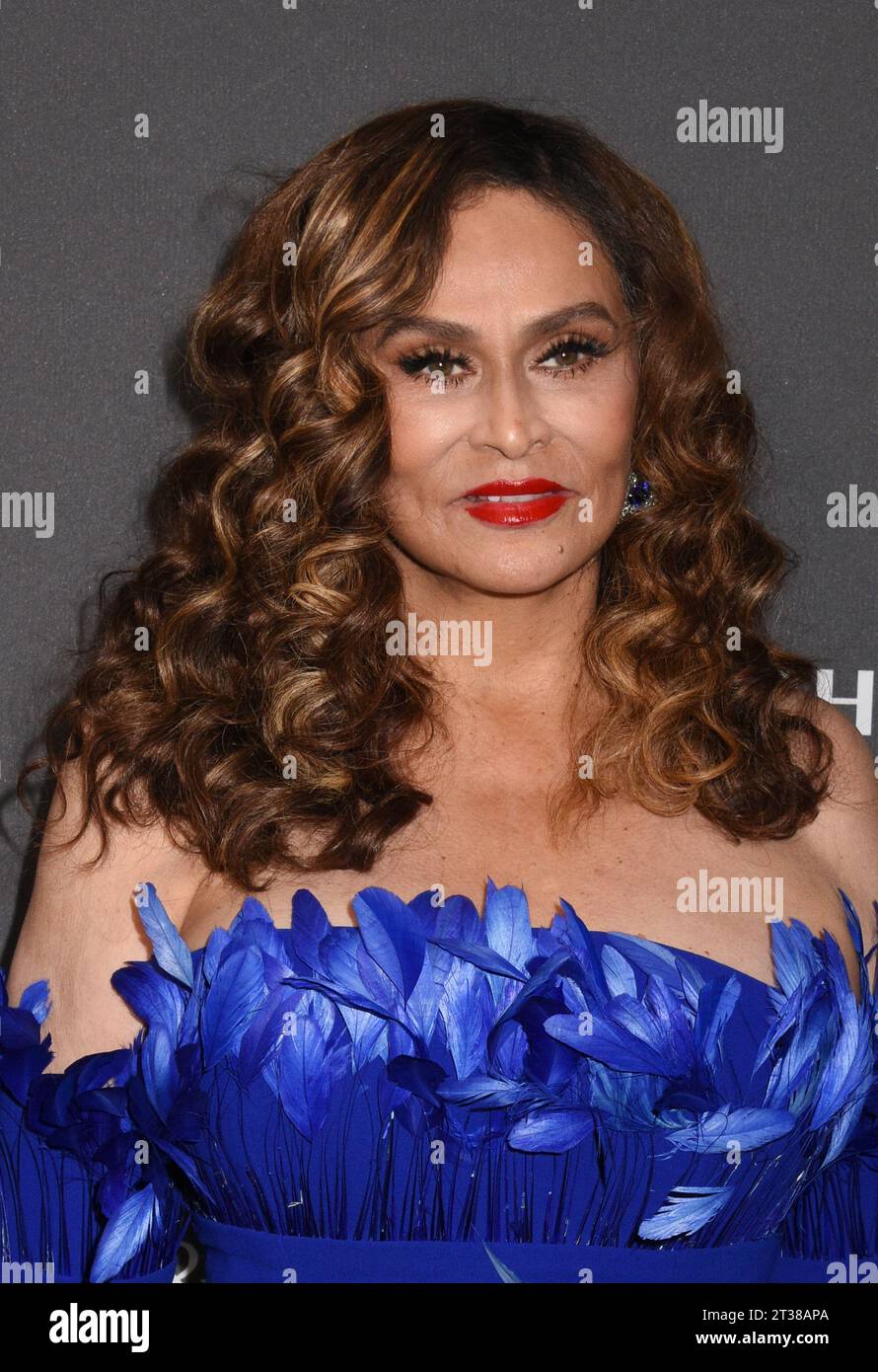 New York, NY, USA. 23rd Oct, 2023. Tina Knowles at Gabrielle's Angel ...