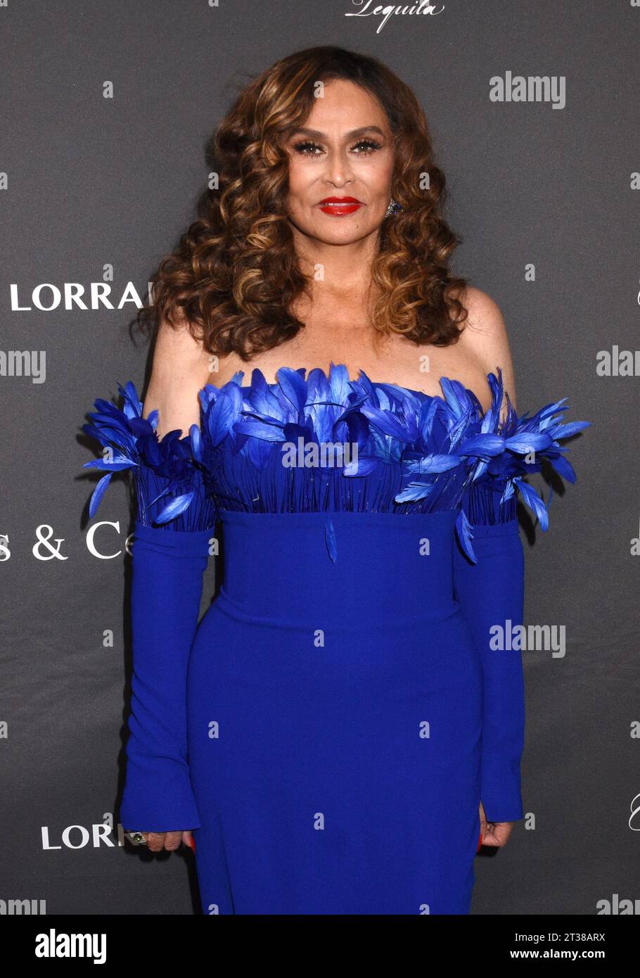 New York, NY, USA. 23rd Oct, 2023. Tina Knowles at Gabrielle's Angel ...