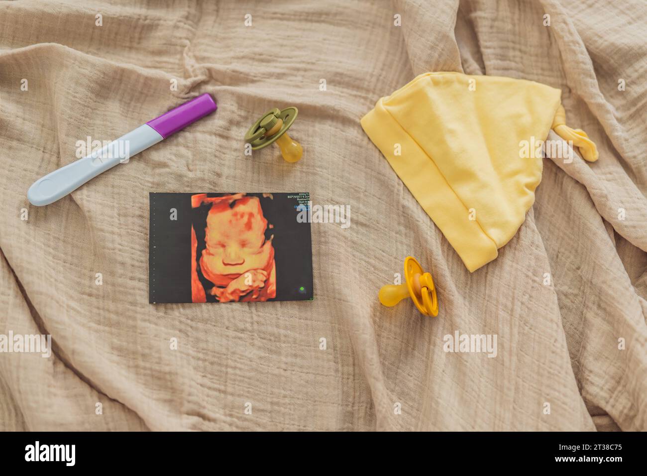 A composition of essential pregnancy attributes: a positive pregnancy ...