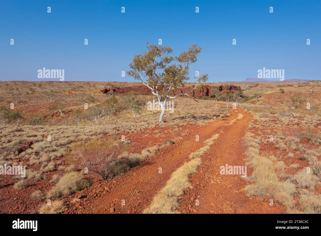 Typical scenic landscape of the Pilbara, Western Australia, Australia ...