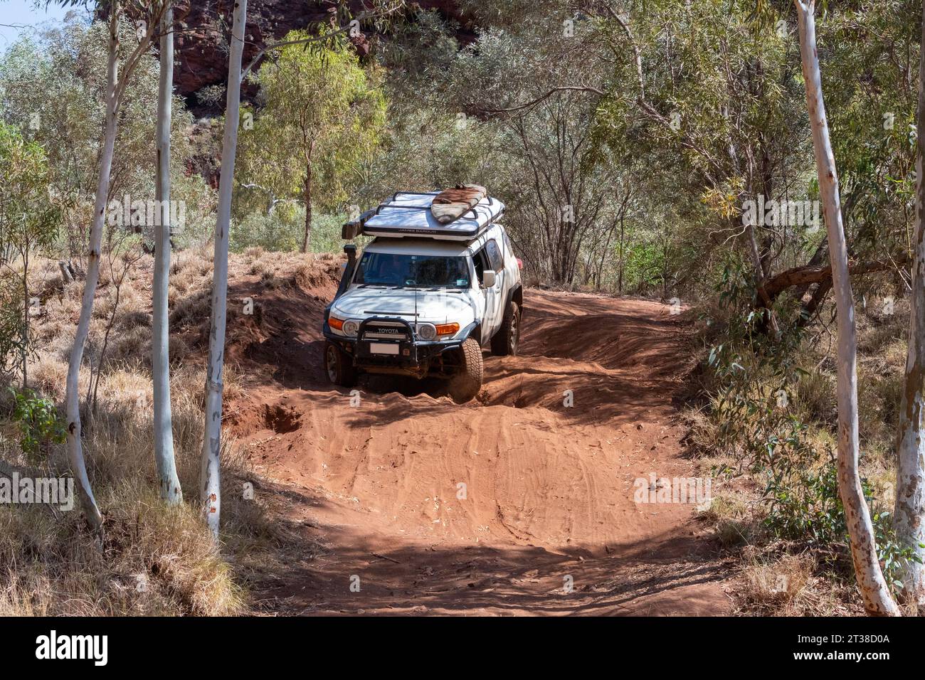 Toyota fan edition fj50 on a rough Outback dirt track, Kalgan Pool ...