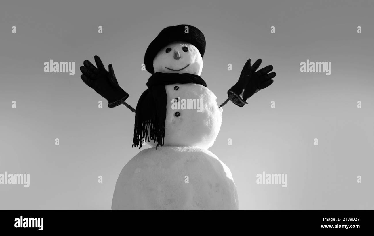 Fashion snowman in black hat, scarf and gloves. Snowman on the winter ...