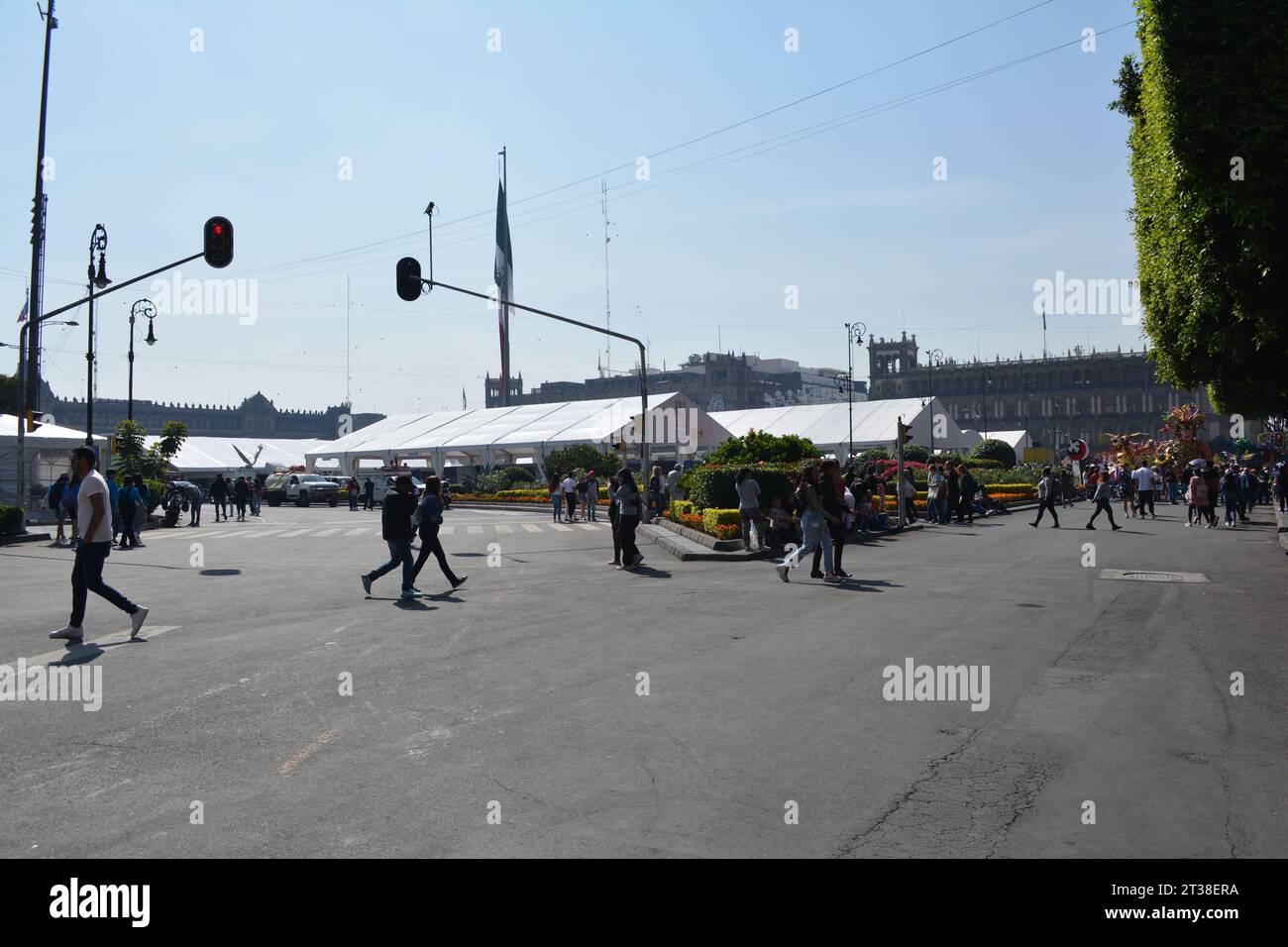 People of all ages gather in Mexico City for the Alebrijes parade on ...