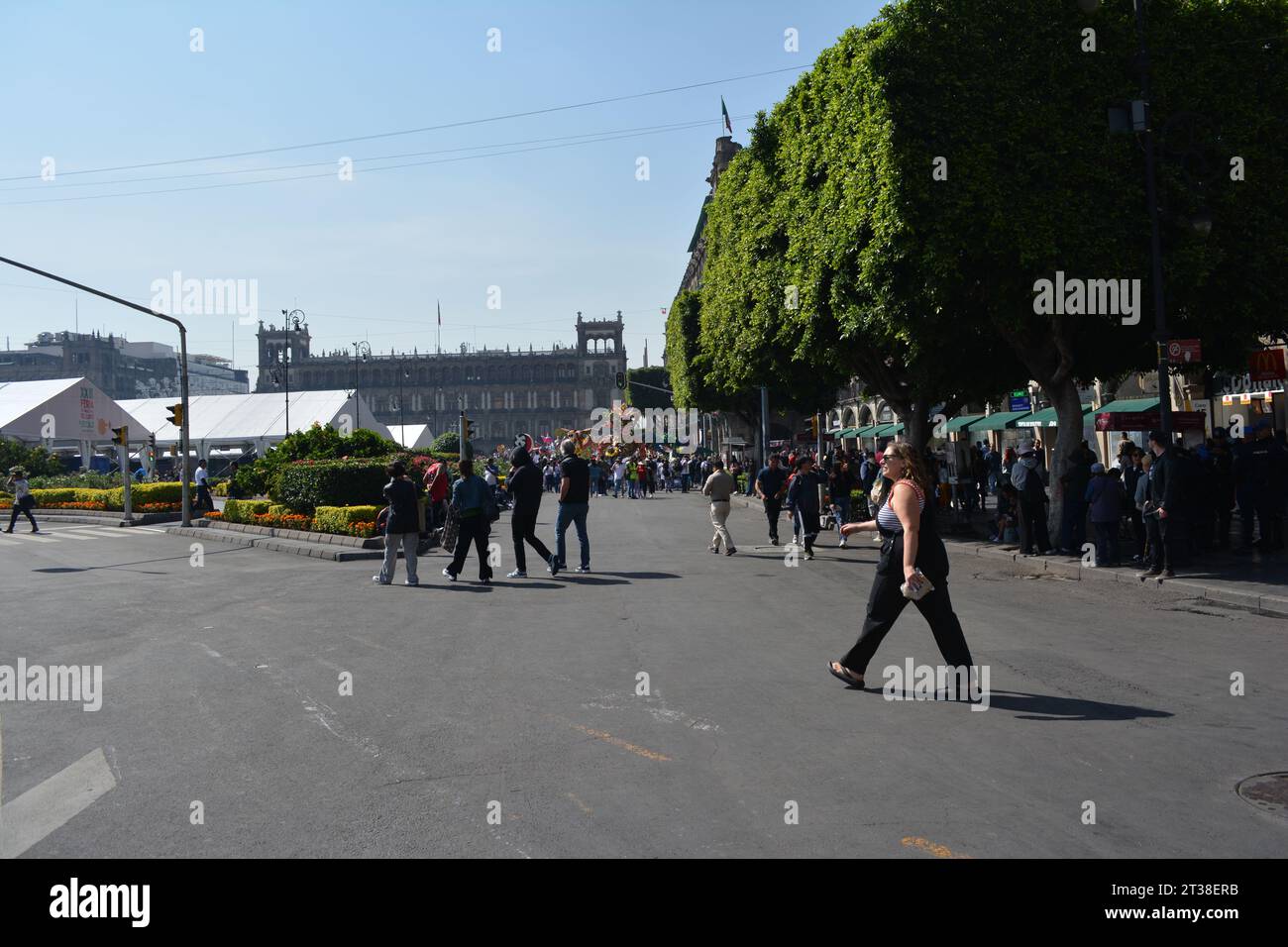 People of all ages gather in Mexico City for the Alebrijes parade on ...