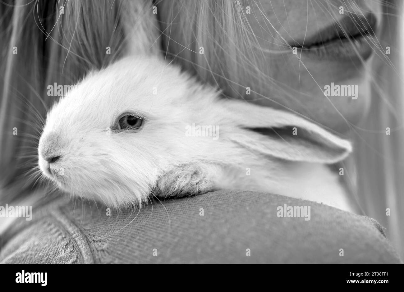 Rabbit lips hi-res stock photography and images - Alamy