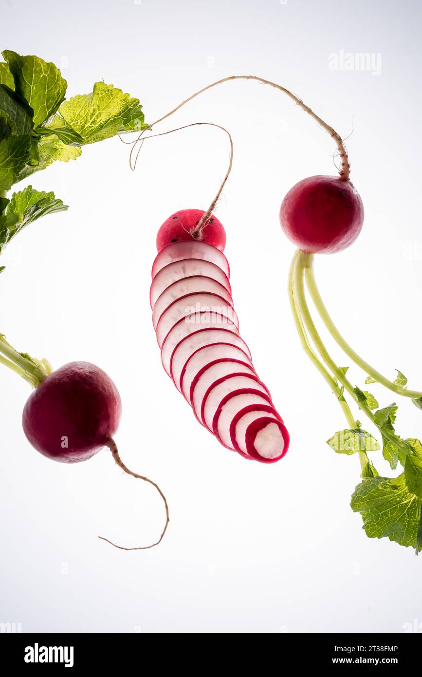 Fresh red raddish sliced and rooted on white background Stock Photo - Alamy