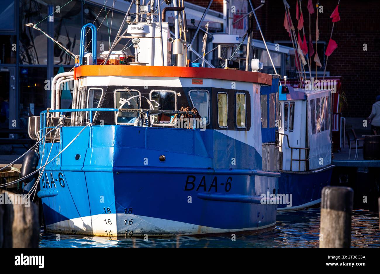 Poor things still hi-res stock photography and images - Alamy