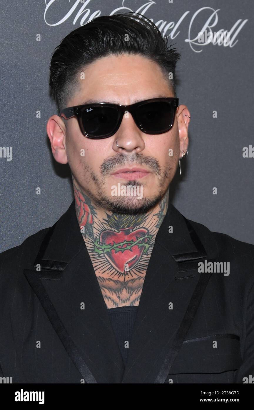 New York, USA. 23rd Oct, 2023. Ross Pino attending The 25th Anniversary ...