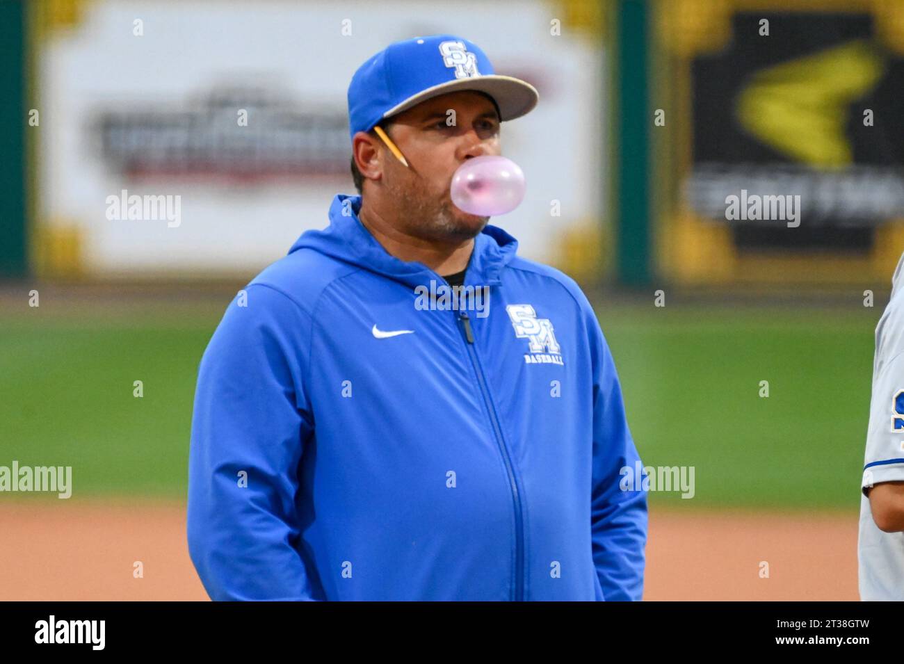 Eagles head hi-res stock photography and images - Alamy