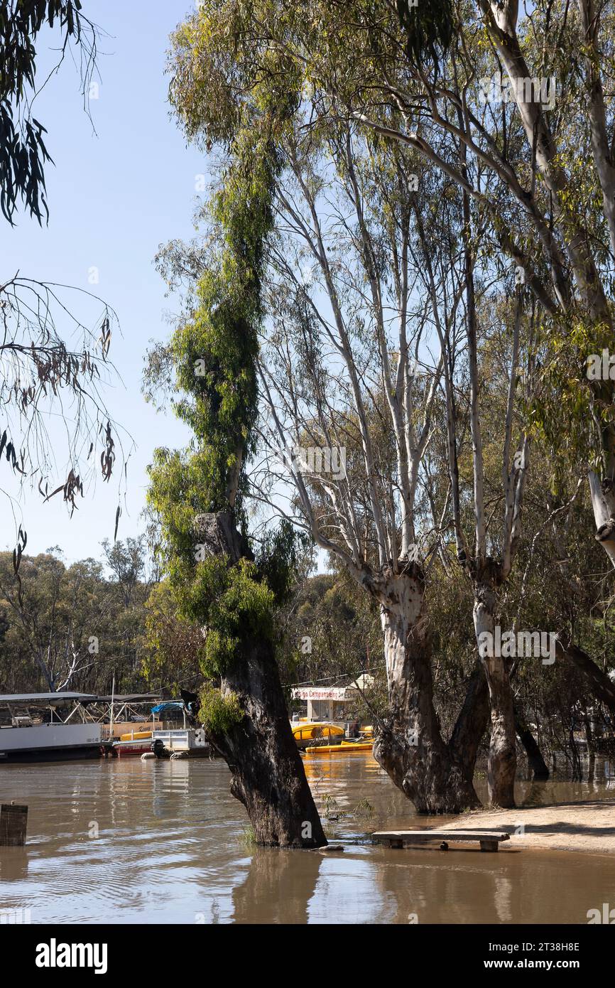 Echuca is an Australian town in northern Victoria. It's across the ...