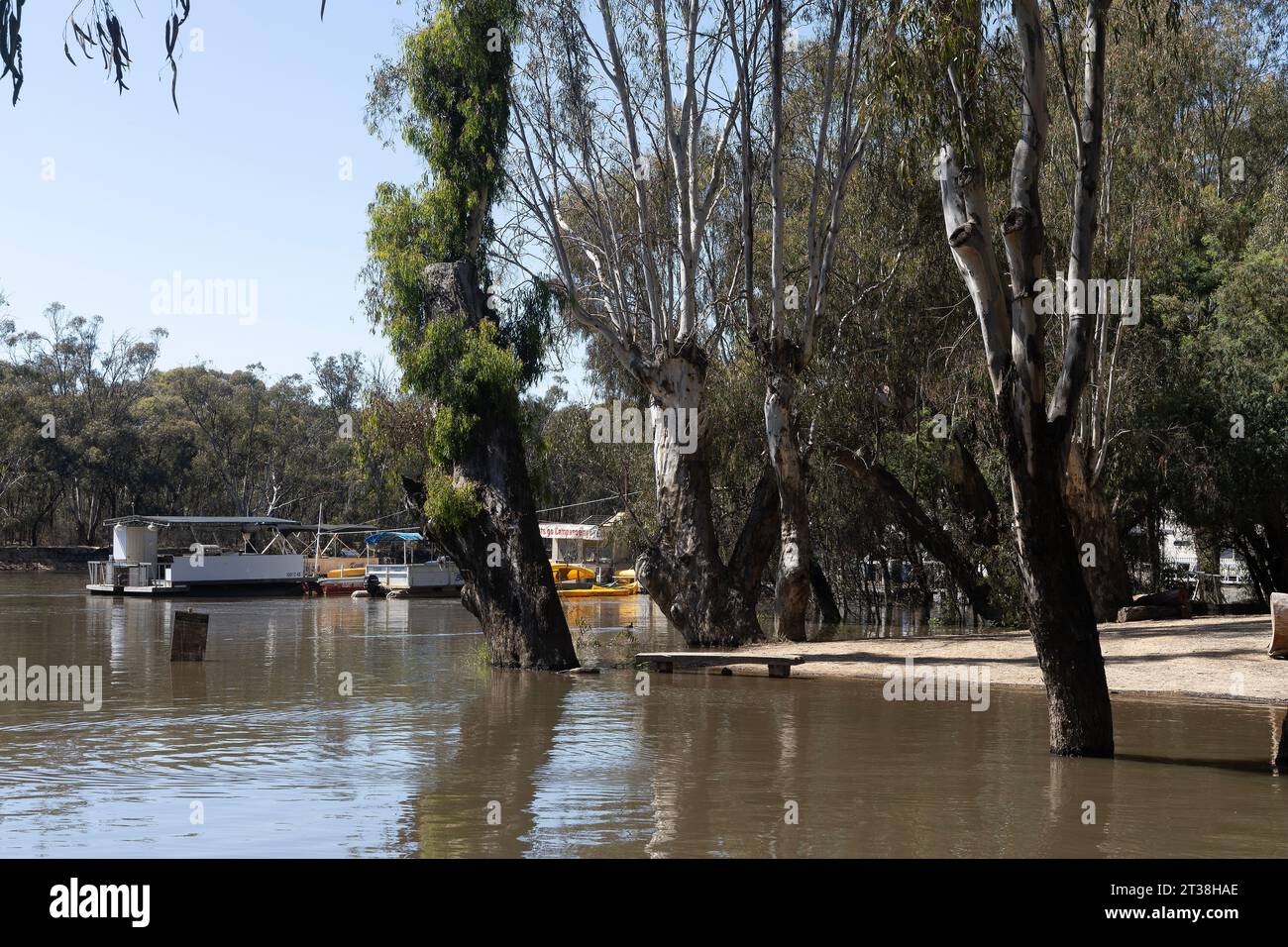 Echuca is an Australian town in northern Victoria. It's across the ...
