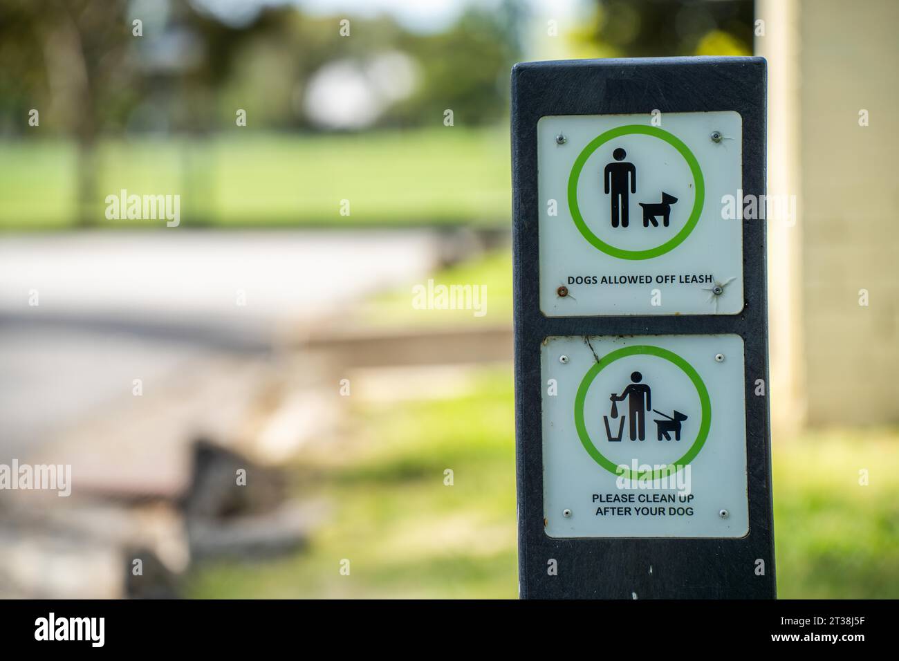 dog sign in a park in australia in summer Stock Photo - Alamy