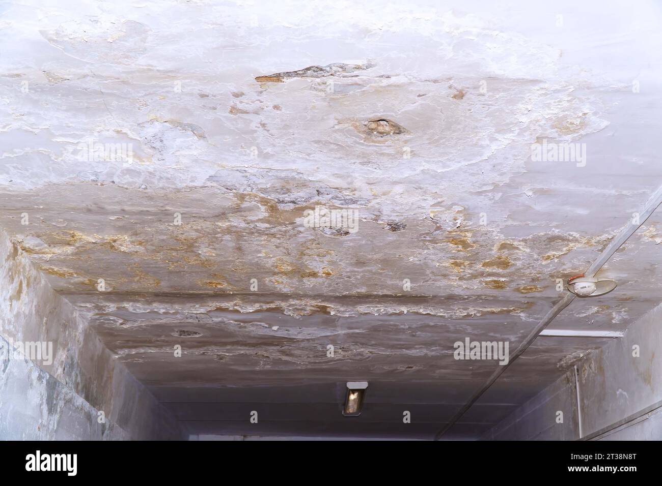 Ceiling in need of repair. On the ceiling, dirt and cracks. Selective ...