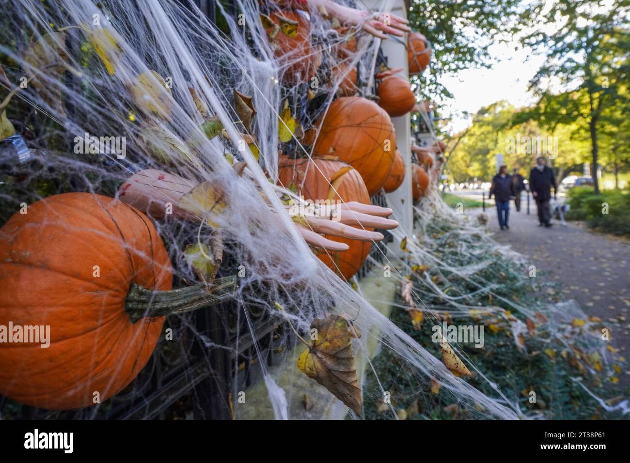 A house decorated with themes from the movie character of Anna Morgan ...